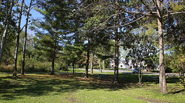 Cardinal Park - Palatine Park District