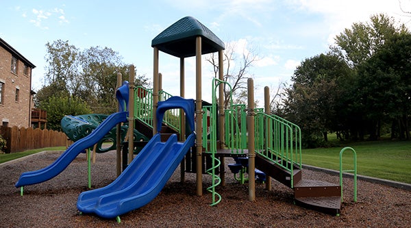 Mulberry Park - Palatine Park District