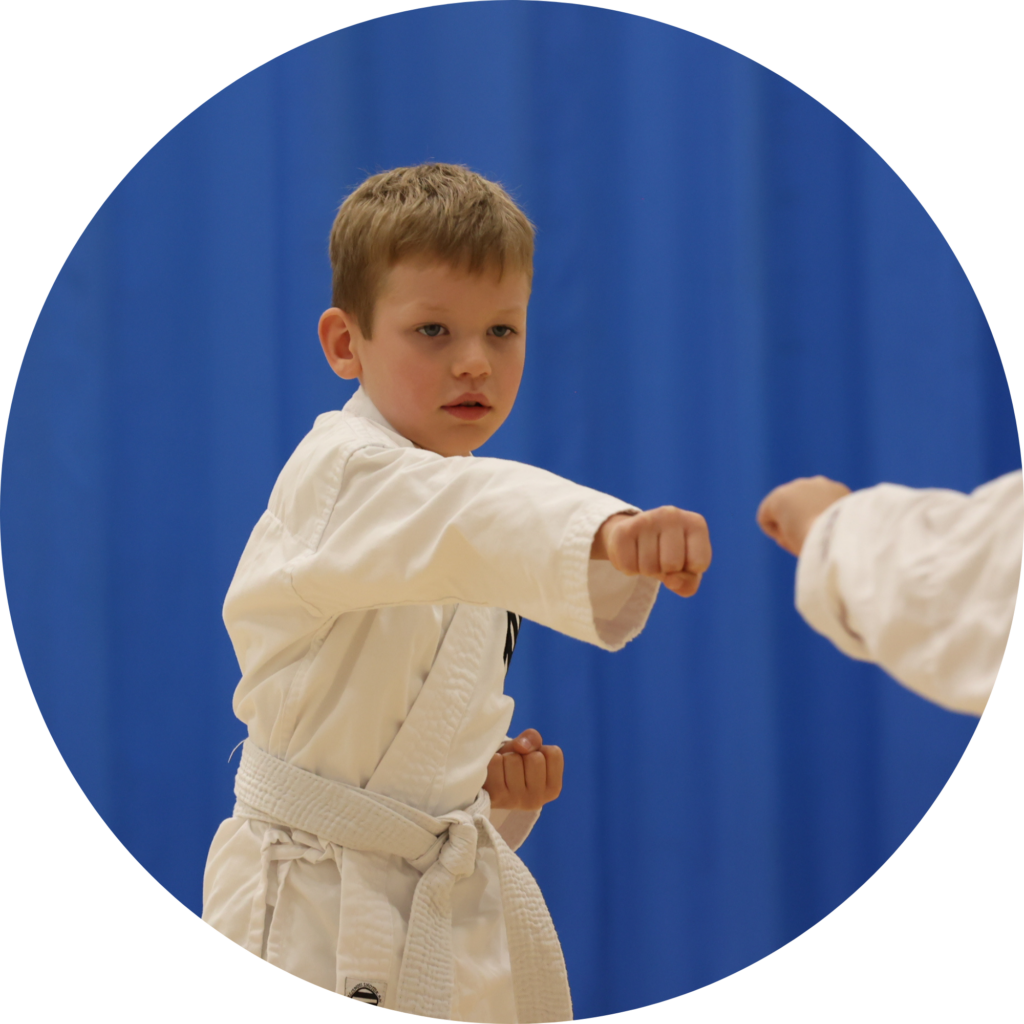 Shotokan Karate Mini Classes - Palatine Park District